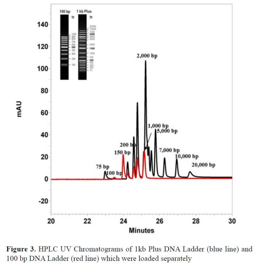 Development and validation of an HPLC-UV method for purity ...